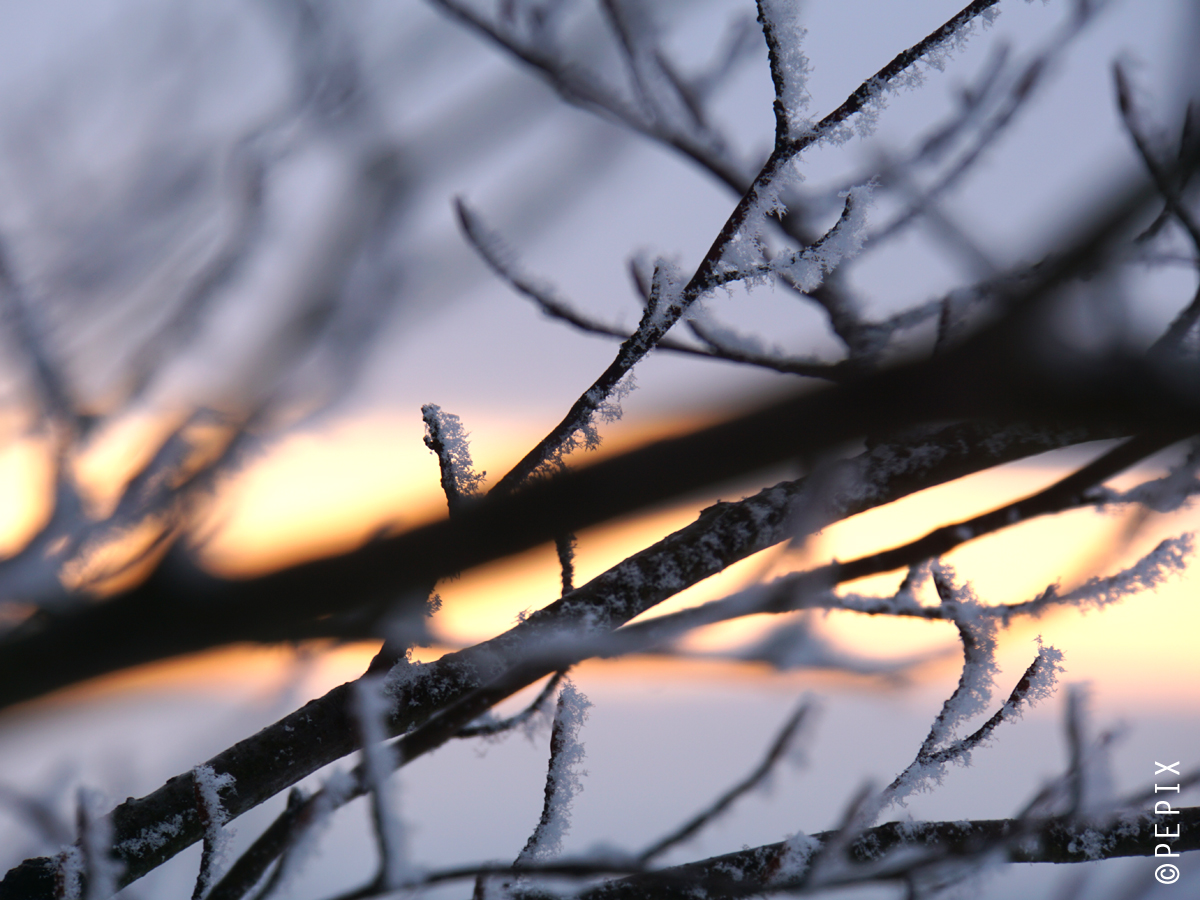 Frostig … – PEPIX